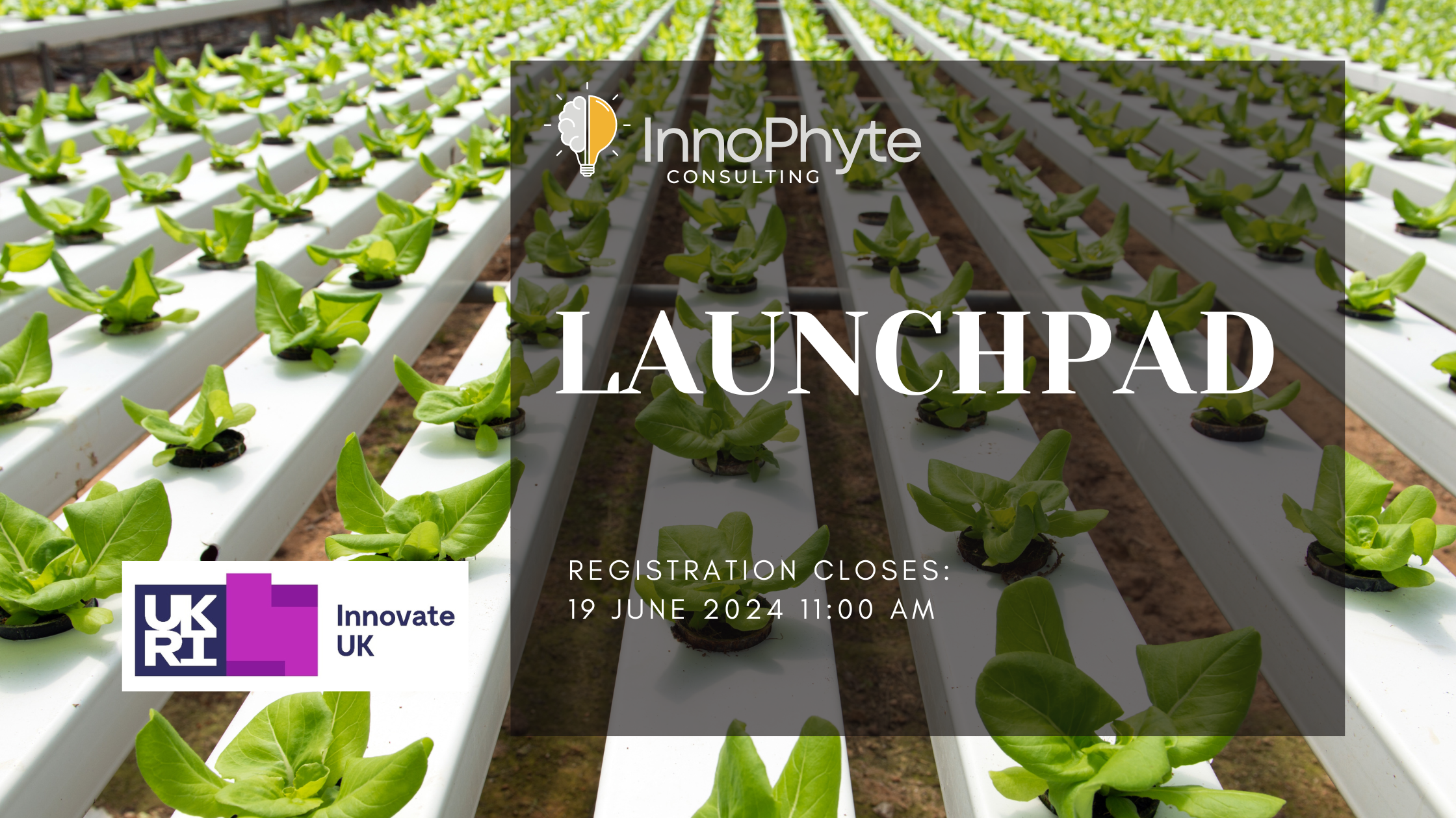 Launchpad by Innovate UK - InnoPhyte Consulting
