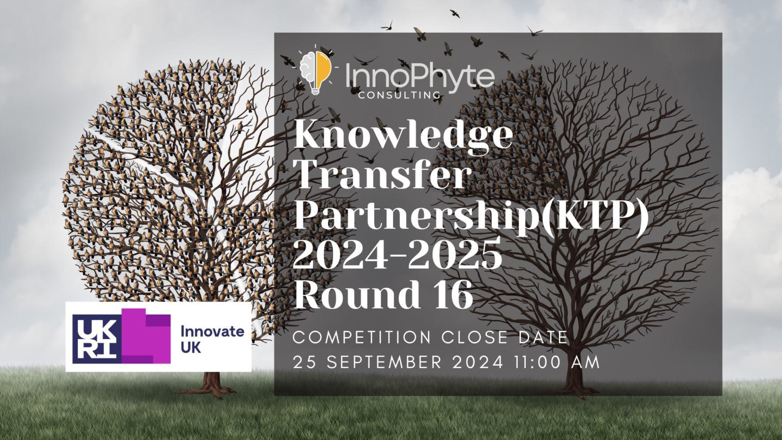 Knowledge Transfer Partnerships (KTP): 2024 to 2025 Round 3 - InnoPhyte ...