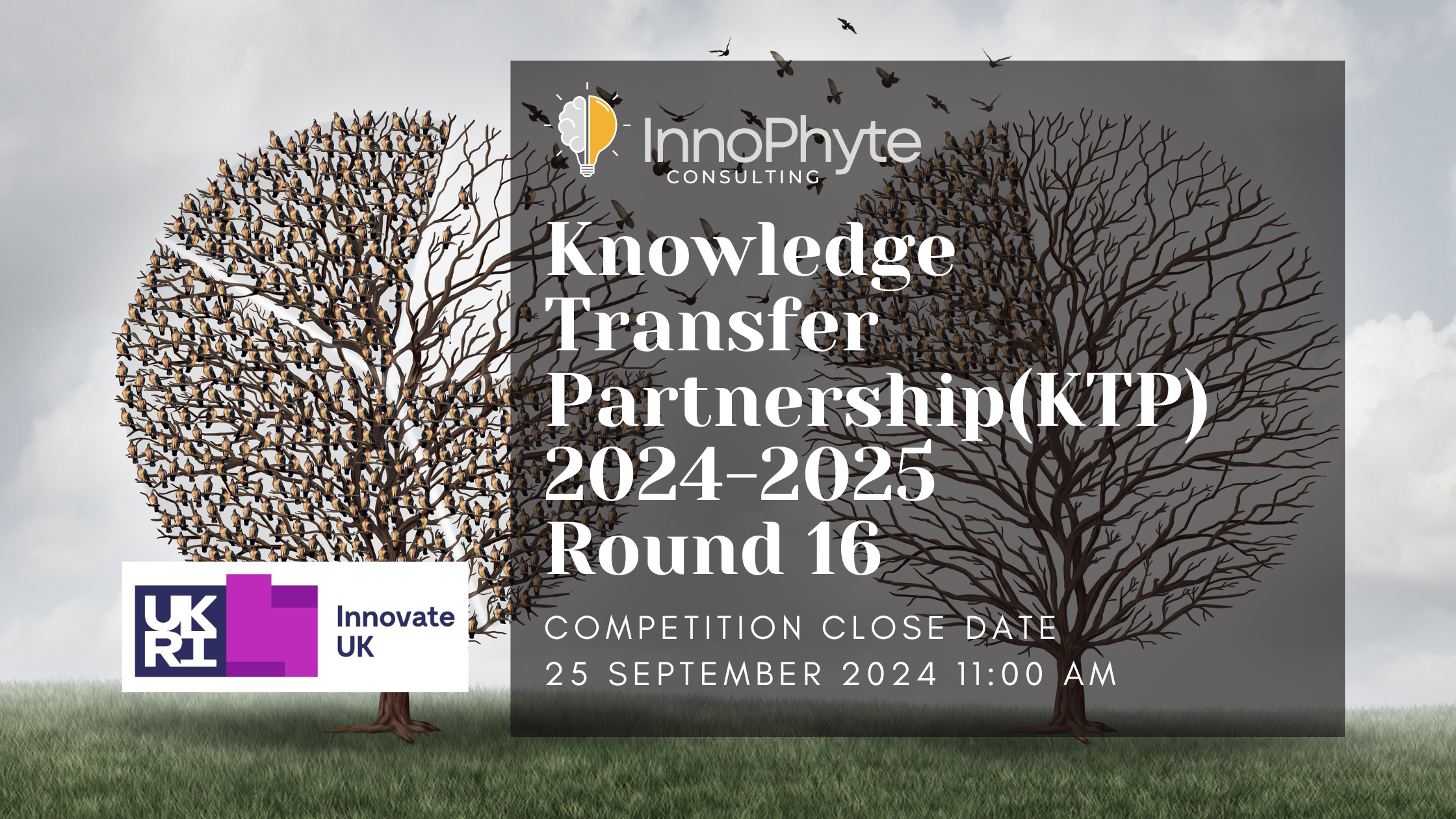 Knowledge Transfer Partnerships (KTP): 2024 to 2025 Round 3 - InnoPhyte ...