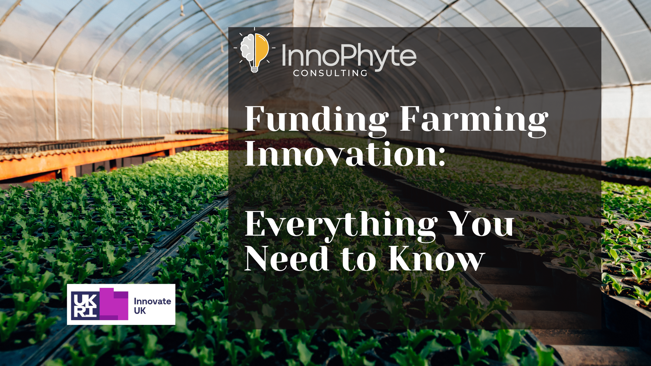 Funding Farming Innovation: Everything You Need to Know - InnoPhyte Consulting