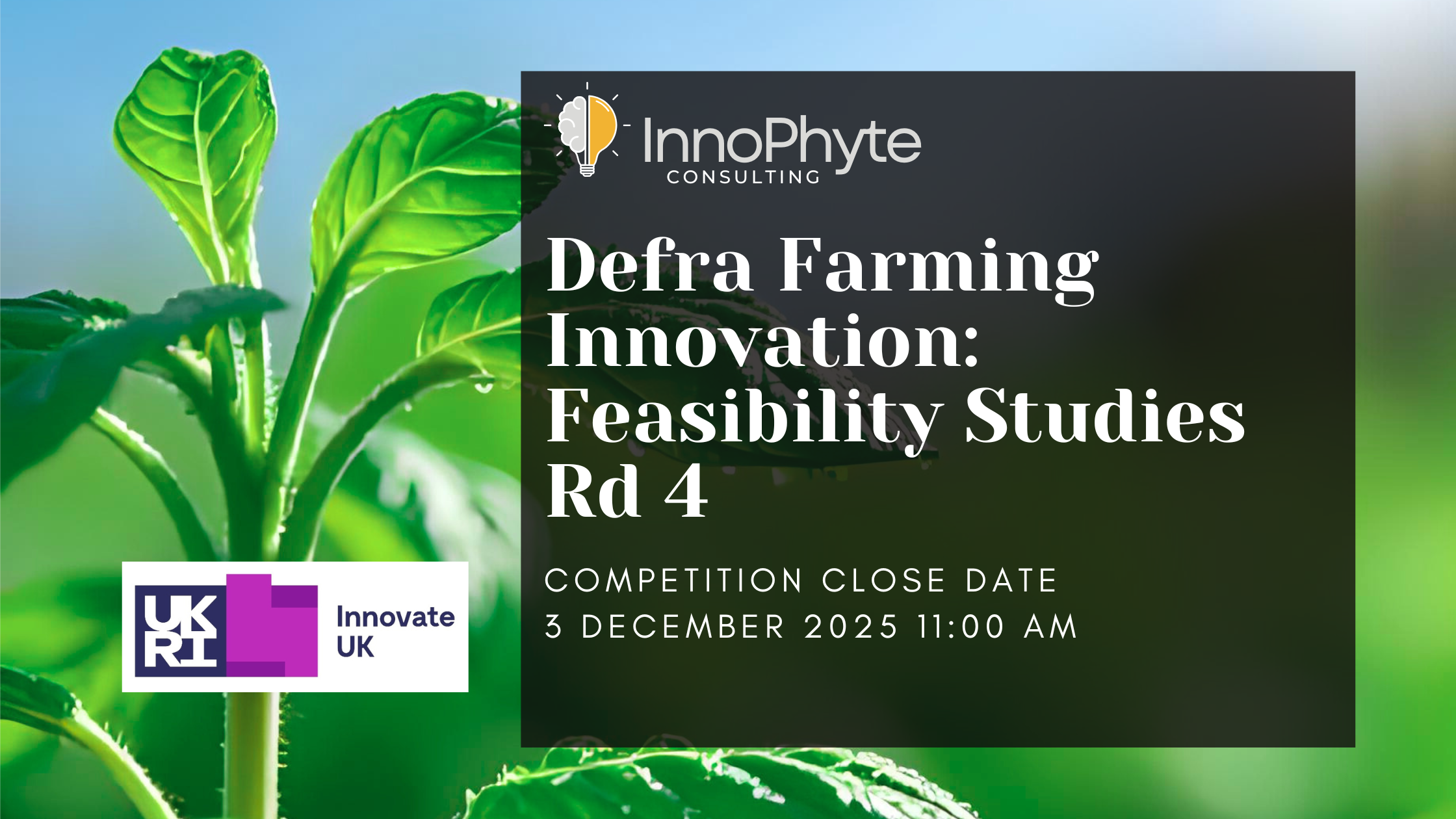 Defra Farming Innovation Feasibility Studies (Round 4) - InnoPhyte ...
